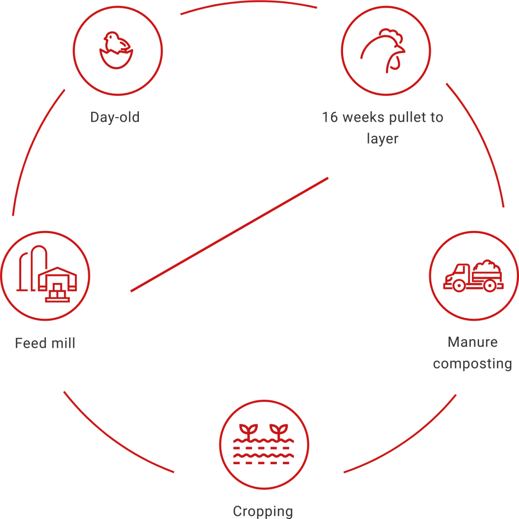 Circular Operations - McLean Farms