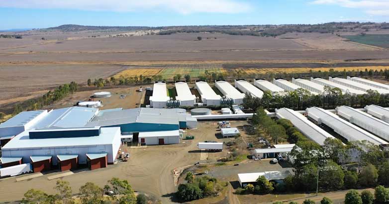 Other Ventures - McLean Farms