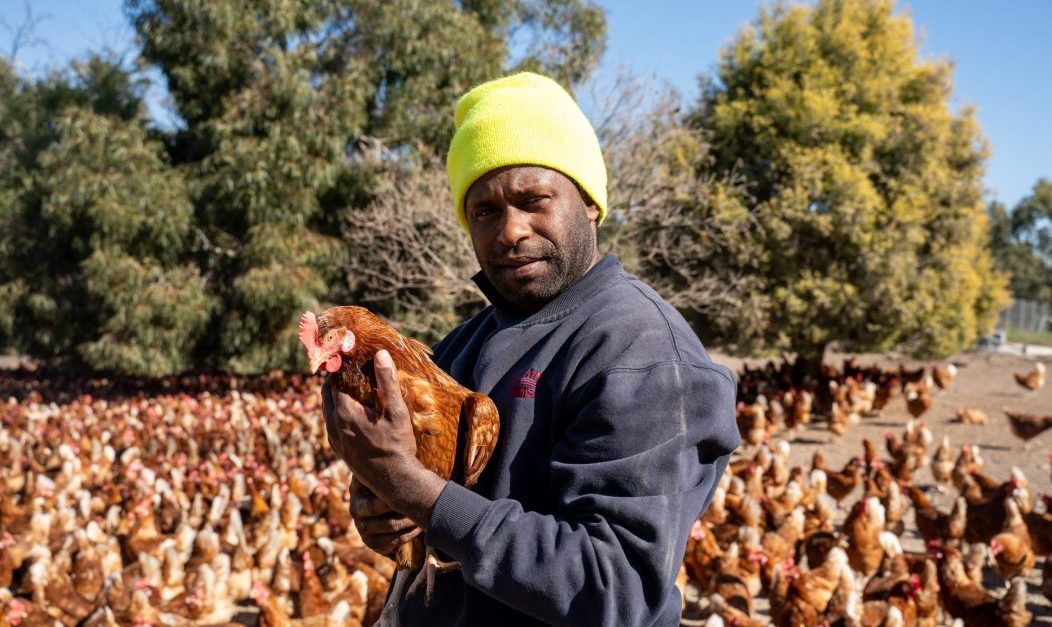 Other Ventures - McLean Farms