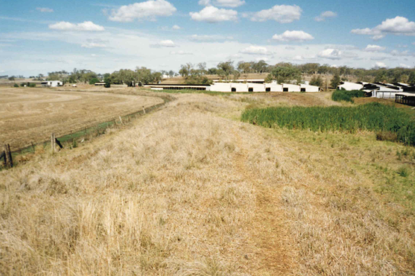 Our History - McLean Farms