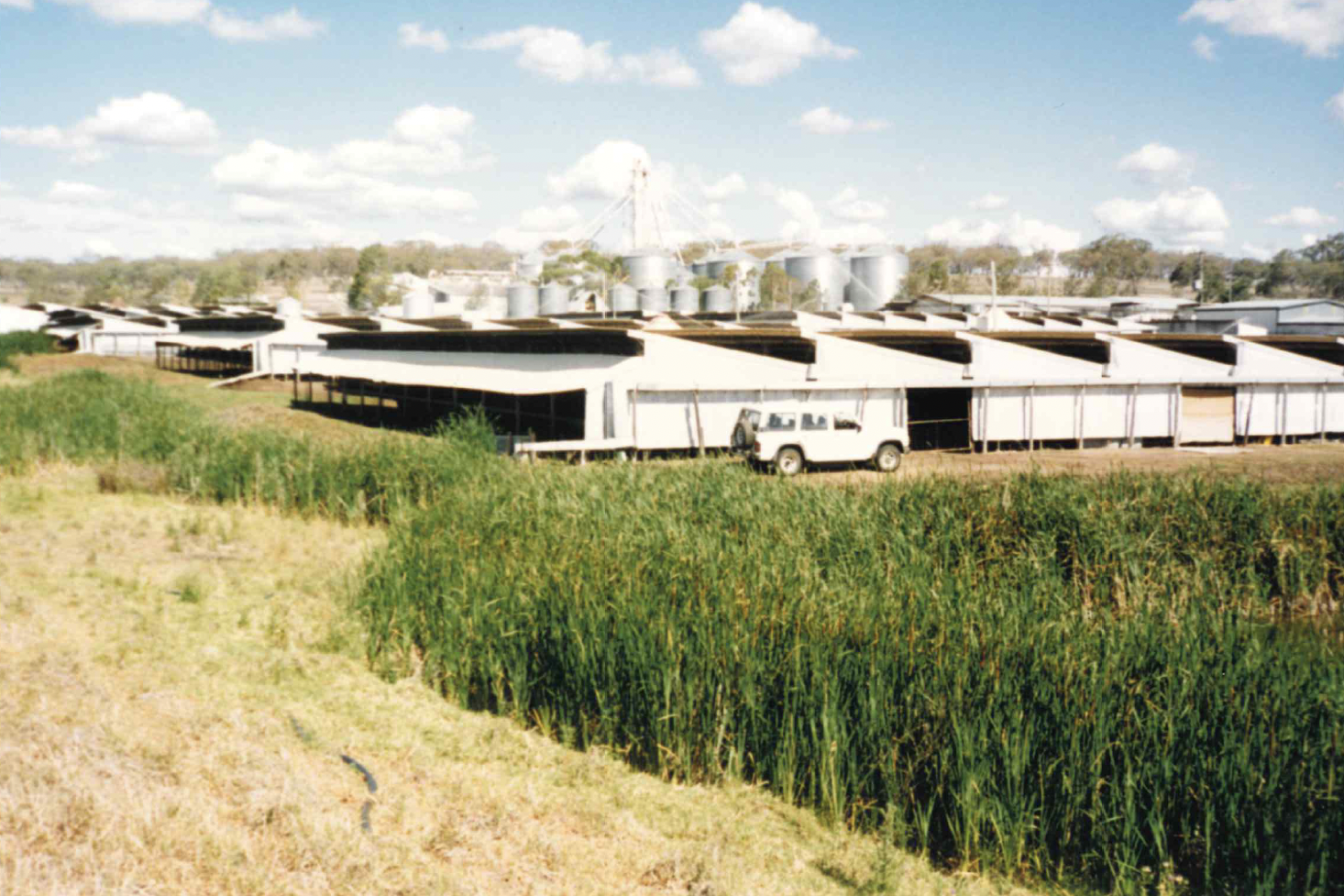 Our History - McLean Farms